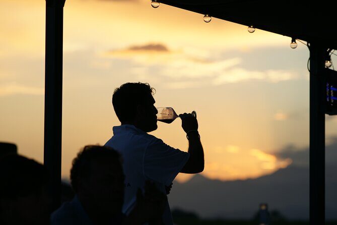 Wine Experience of Nebbiolo in Alto Piemonte - Practical Details  