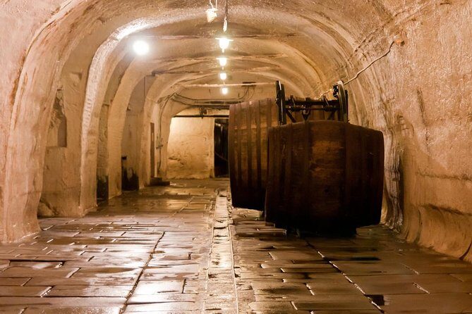 WINE, FOOD & BEER TOUR from Prague to PILSEN - Who Should Book This Tour?