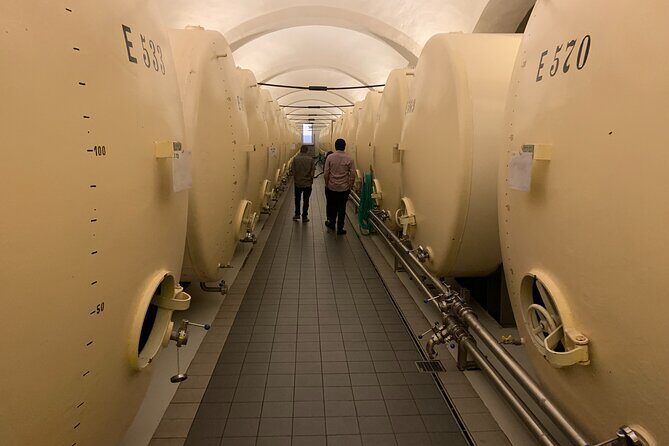 WINE, FOOD & BEER TOUR from Prague to PILSEN - Final Thoughts: Why Choose This Tour?