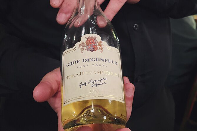 Wine & Food Tasting Cruise on the Danube - An In-Depth Look at the Experience