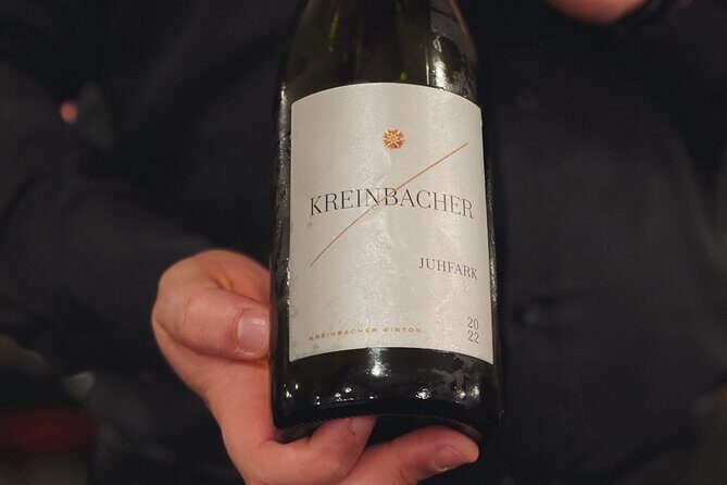 Wine & Food Tasting Cruise on the Danube - Final Thoughts