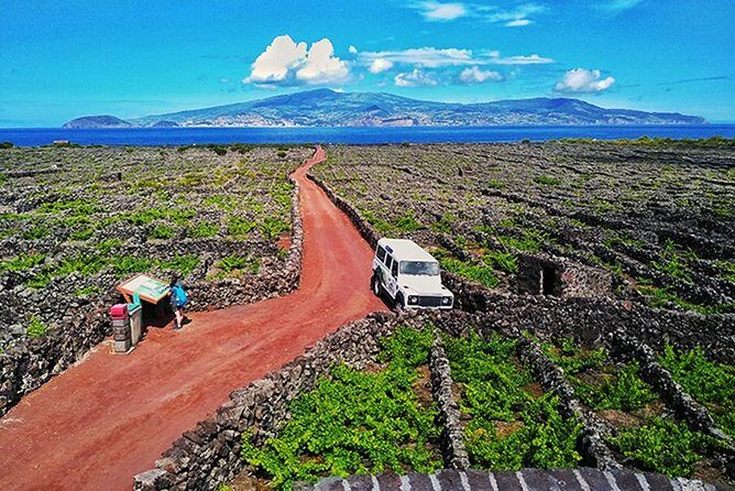 Wine & Food Tour - What Sets This Tour Apart?