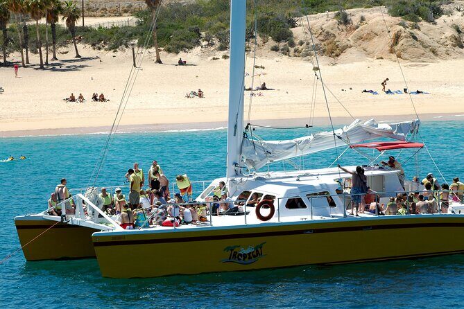 Wine & Jazz at Sunset Cruise! Round Transportation From Los Cabos - An Overview of the Experience
