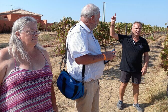 Wine Lovers: Winery Tour w/ Tasting & Tapas (Albufeira/Vilamoura) - What Makes This Tour Stand Out