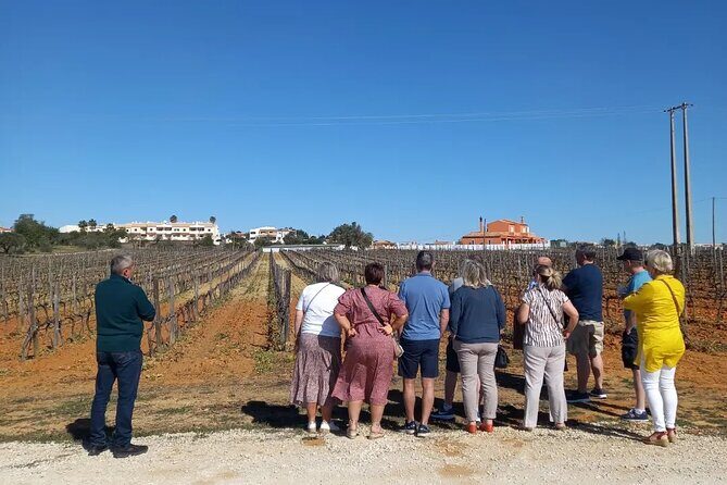 Wine Lovers: Winery Tour w/ Tasting & Tapas (Albufeira/Vilamoura) - Authentic Guest Insights: What Travelers Really Think