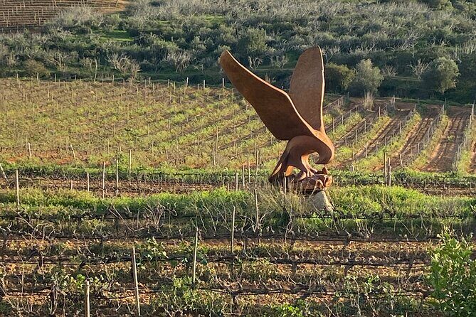 Wine Not Algarve Winery Tour - FAQ