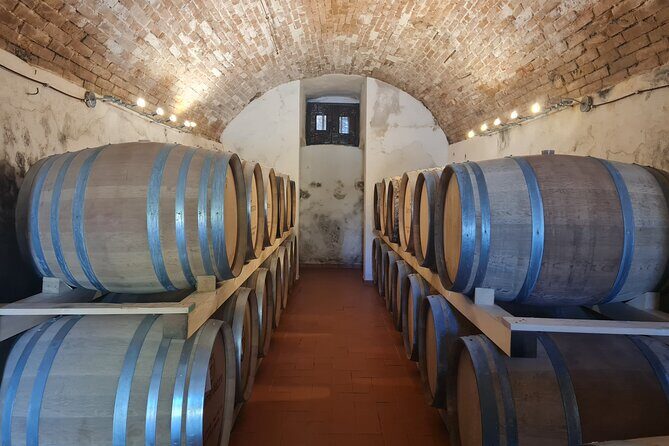 Wine & Oil Tasting Experience - Who Should Consider This Tour?