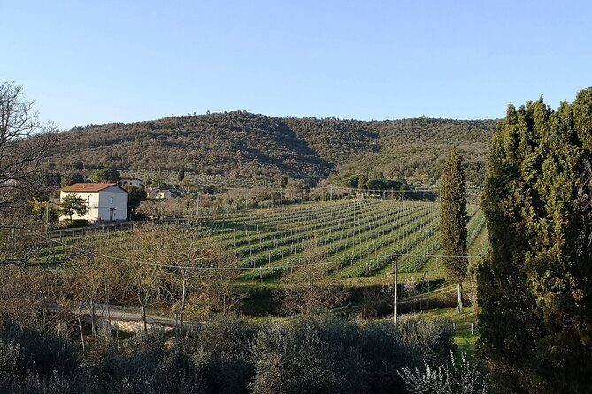 Wine & Oil Tasting Experience - Final thoughts