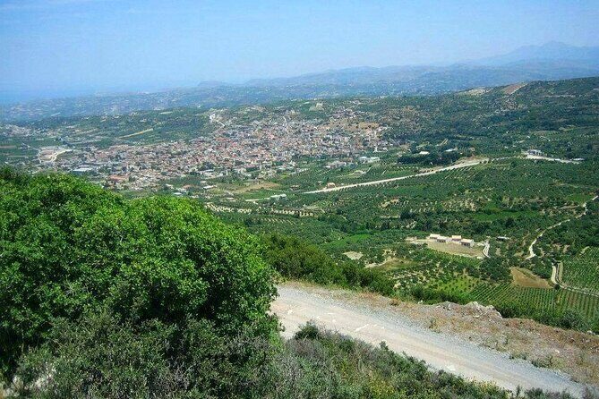 Wine olive and Food of Crete, Heraklion - An In-Depth Look at the Crete Food, Wine, and Olive Tour