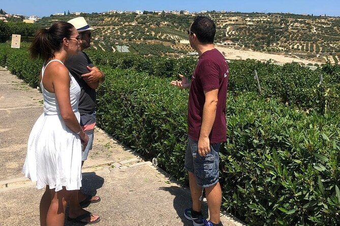 Wine olive and Food of Crete, Heraklion - Final Thoughts