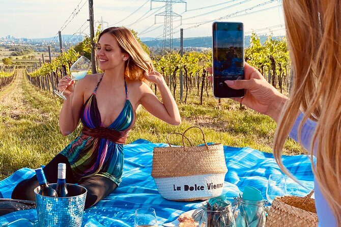 Wine Picknick overlocking vienna - What Is the Wine Picnic Overlooking Vienna?