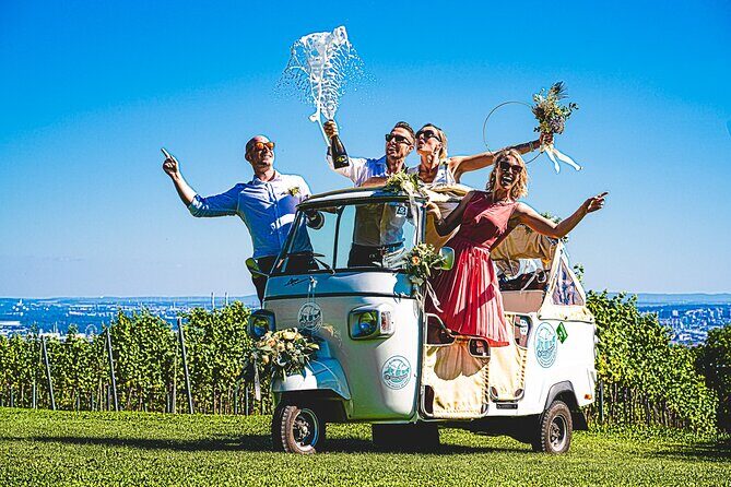 Wine Picknick overlocking vienna - The Food and Drink