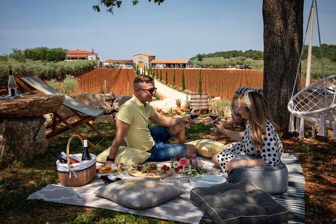 Wine picnic - Discover the Charm of an Istrian Wine Picnic