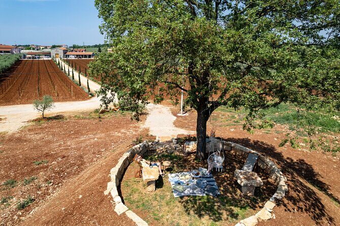 Wine picnic - Why This Tour Is a Great Choice