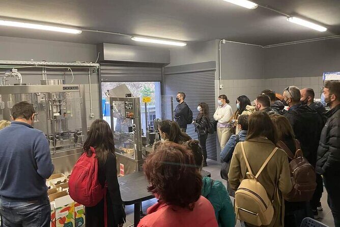 Wine Raki Olive Oil Tasting and Pottery - Private Tour - Itinerary Breakdown