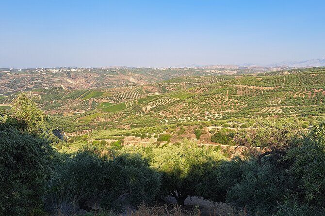 Wine Raki Olive Oil Tasting and Pottery - Private Tour - Additional Highlights and Practical Details