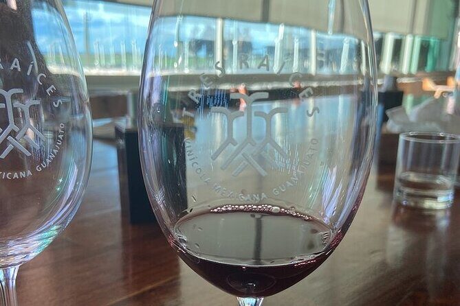 Wine Route !, Vineyards, wine tasting and pairing - The Overall Experience