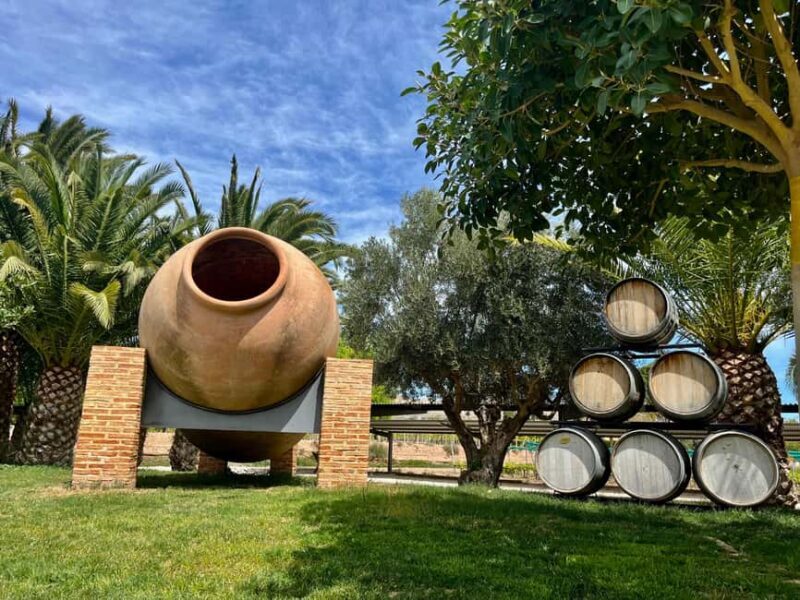 Wine Route with 3 Tastings & Castillo La Mola: Small Group - Key Points