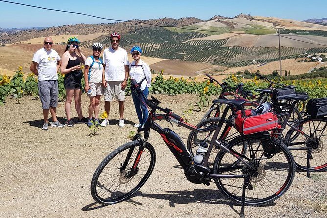 Wine & Tapas tour by electric bike (e-bike) including Ronda pickup (half day) - Key Points