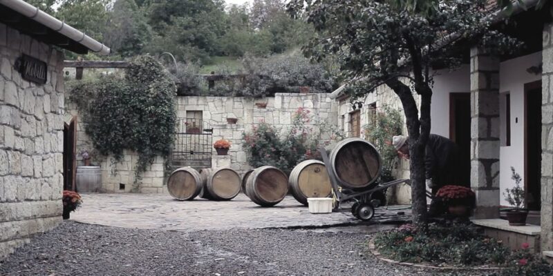 Wine taste in Tokaj Private Day Tour from Budapest - FAQs