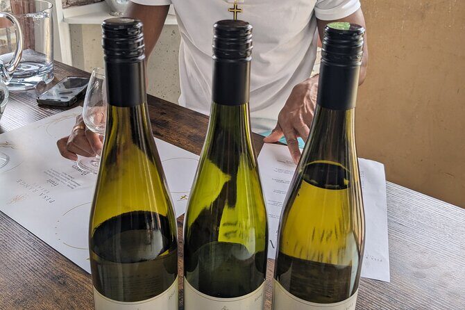 Wine Tasting Adventure Wanaka and Beyond - The Guide: Michelle