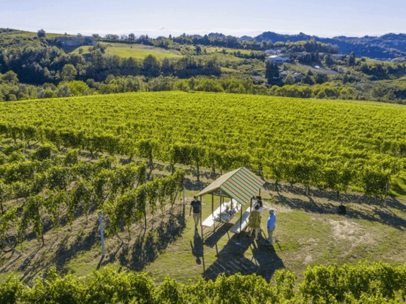 Wine Tasting and Food Pairings in Langhe and near Alba - The Itinerary in Detail