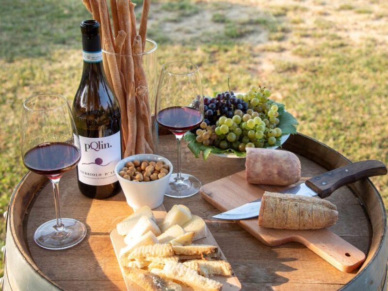 Wine Tasting and Food Pairings in Langhe and near Alba - Guest Feedback and Authentic Insights