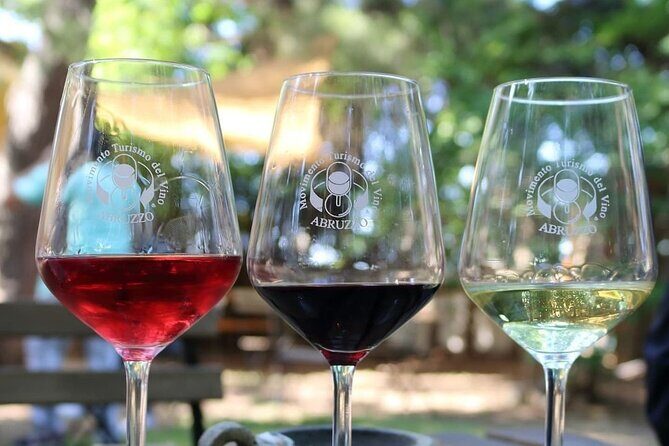 Wine Tasting and Guided Visit to the Vineyard and Cellar in S. Maria Imbaro - FAQs