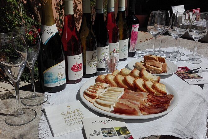 Wine Tasting and Guided Visit to the Vineyard and Cellar in S. Maria Imbaro - Final Thoughts