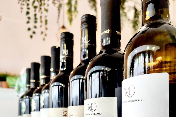 Wine Tasting and History Prague - Exploring the Itinerary