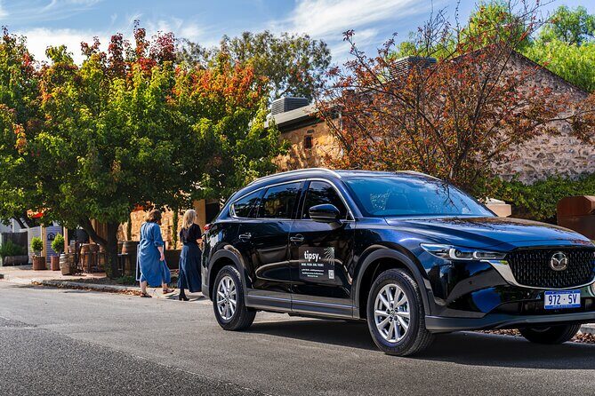 Wine Tasting and Lunch Private Tour in McLaren Vale - An Honest Look at the Wine Tasting and Lunch Private Tour in McLaren Vale