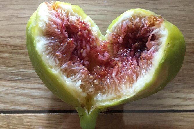 Wine tasting and magical tour from Kotor, Budva, Tivat (Lovcen,Skadar lake) - Final Thoughts