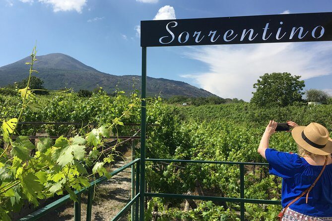 Wine Tasting and Tour Lacryma Christi Vesuvio - Key Points  