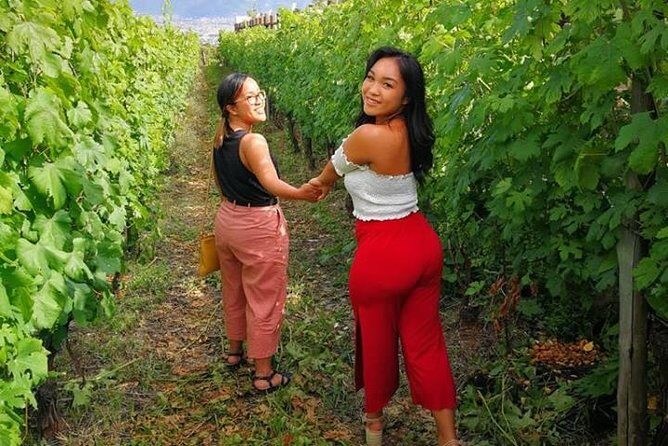 Wine Tasting and Tour Lacryma Christi Vesuvio - Who Should Consider This Experience?