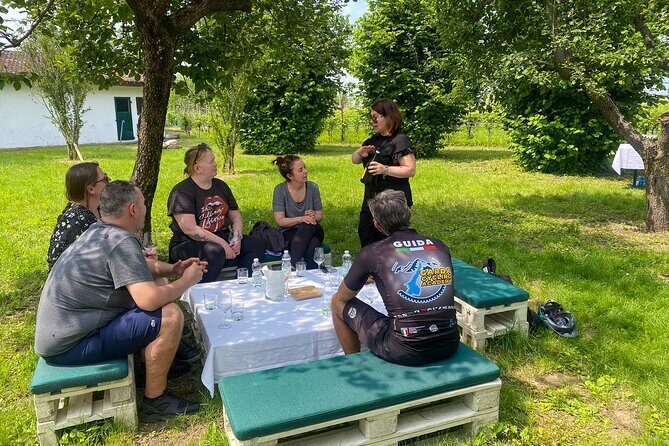 Wine Tasting and Tour of Lugana Wines in Sirmione - FAQs