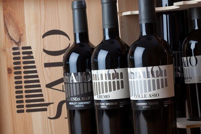 Wine tasting and walk in the Vineyard of Assisi - The Sum Up: Who Will Appreciate This Tour?