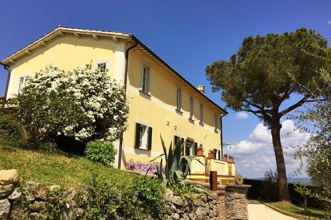 Wine Tasting and Winery tour - Key Points