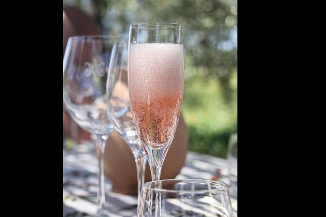 Wine Tasting and Winery tour - Practical Tips for Travelers