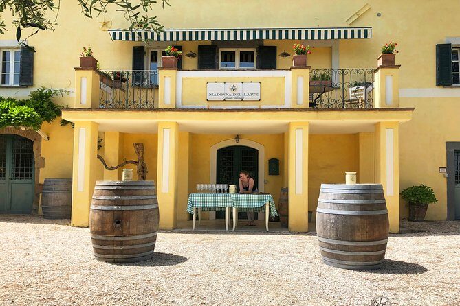 Wine Tasting and Winery tour - Who Should Consider This Tour?