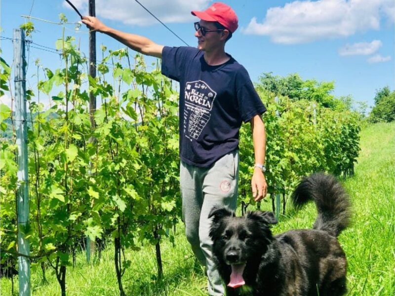 Wine Tasting and Winery Visit near Asti and Turin - A Deep Dive into the Tour Experience
