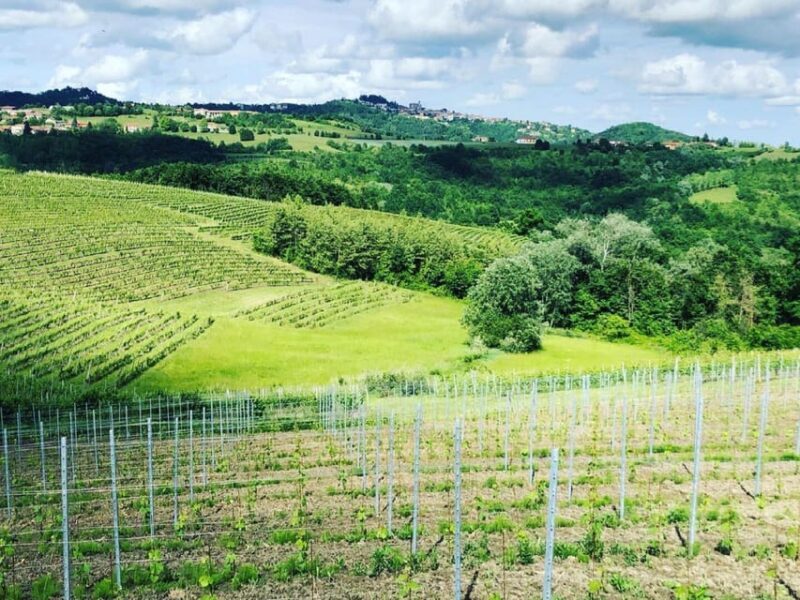 Wine Tasting and Winery Visit near Asti and Turin - Final Thoughts