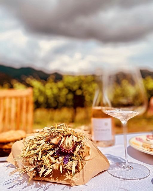 Wine tasting around Ile rousse & Calvi with Transport - Uncovering the Flavors of Corsica: Wine Tasting Around Ile Rousse & Calvi