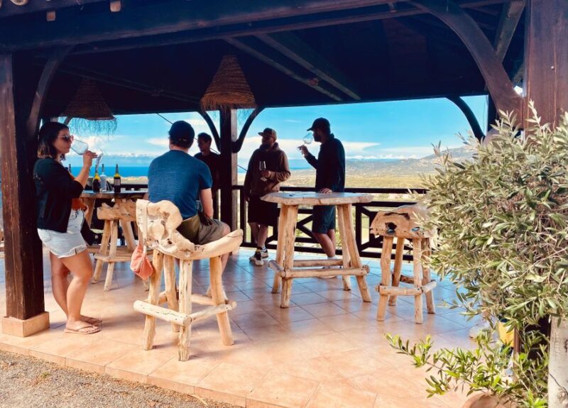 Wine tasting around Ile rousse & Calvi with Transport - Key Points