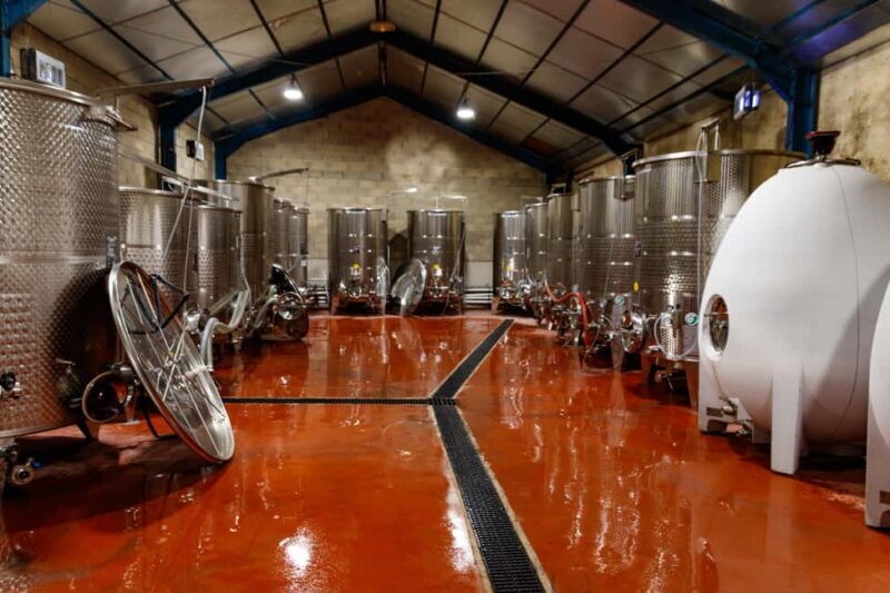 Wine tasting at Château Capion - Key Points