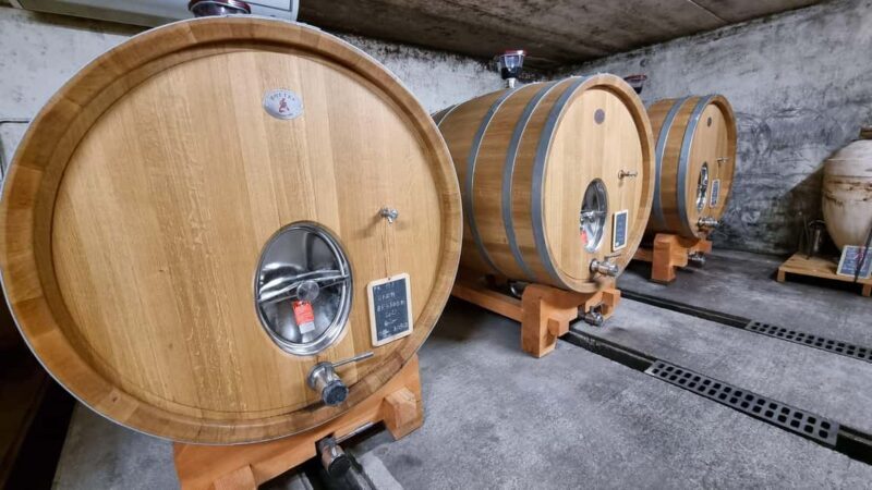 Wine tasting at Château Capion - Who Should Consider This Experience?