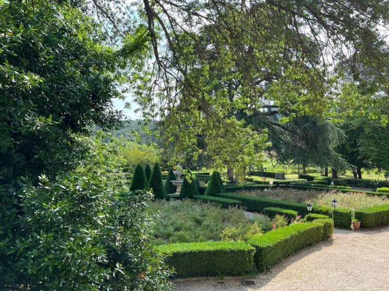 Wine tasting at Château Capion - The Sum Up