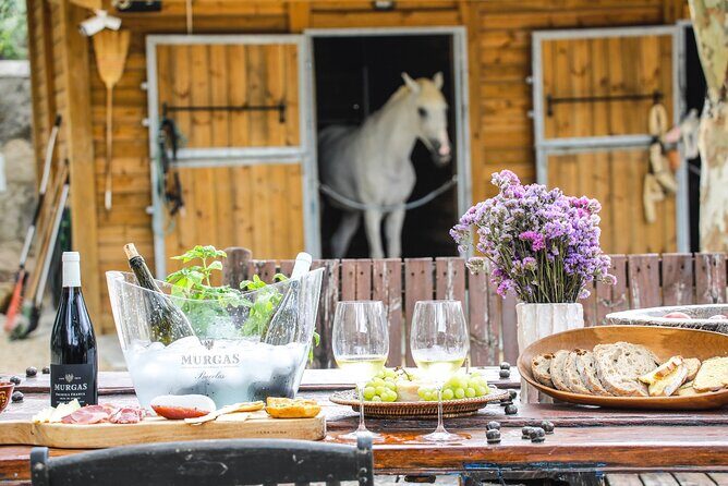 Wine tasting at Quinta das Murgas - An in-depth look at what makes this tour special