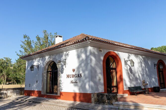 Wine tasting at Quinta das Murgas - Final thoughts