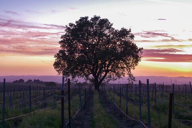 Wine Tasting Audio Tour - Calaveras County - Key Points