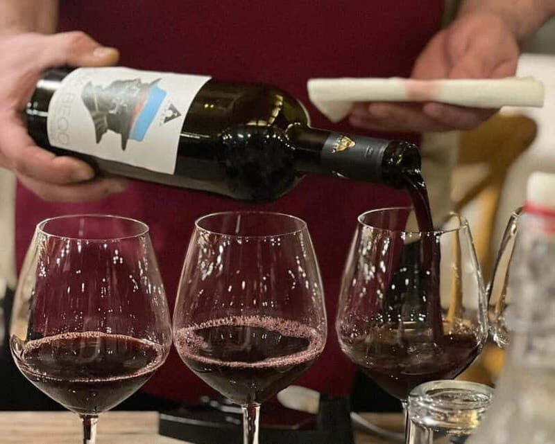 Wine Tasting Experience at Alpeta Winery - Introduction